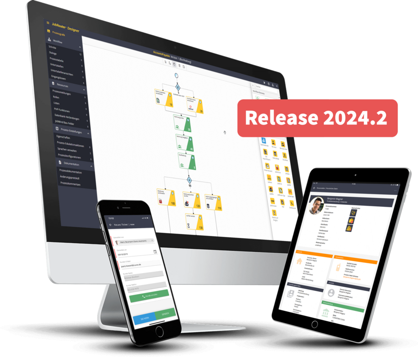 Release 2024.2: Modern forms for all user steps and extended process ...